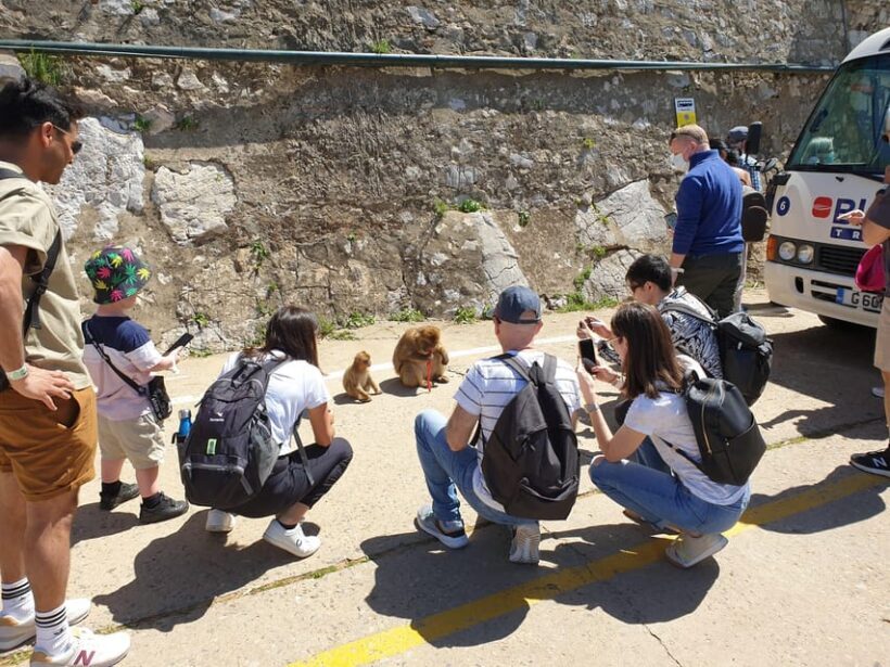 From Seville: Full-Day Trip to Gibraltar - FAQs