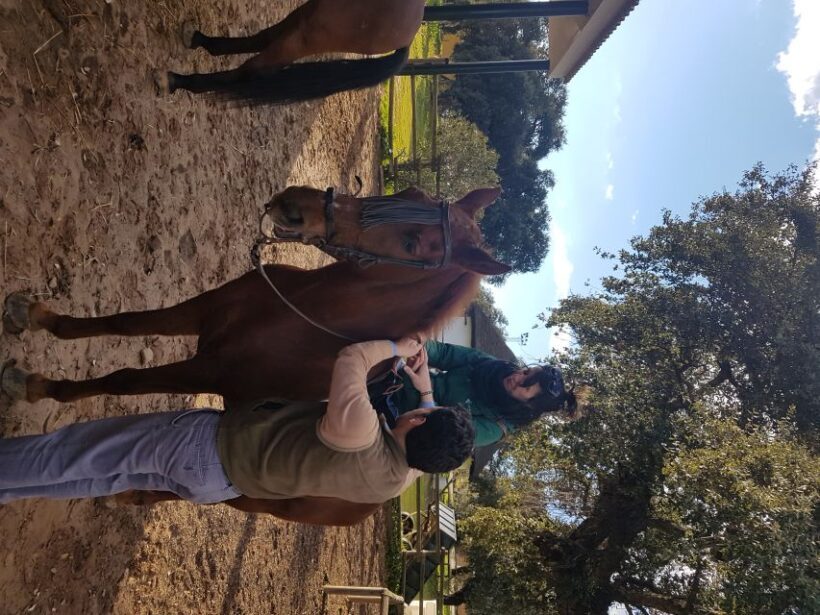 From Seville: Horseback Riding Experience in Aljarafe - The Itinerary Breakdown