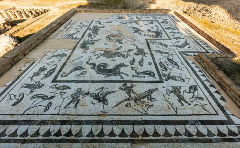 From Seville: Italica Roman City & Medieval Monastery Tour - Who Will Enjoy This Tour?