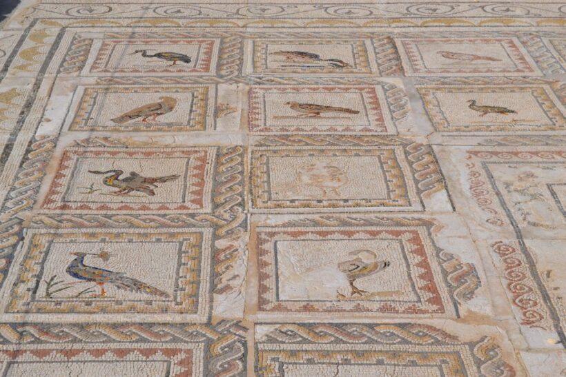 From Seville: Italica Roman City Tour - What We Love About the Tour