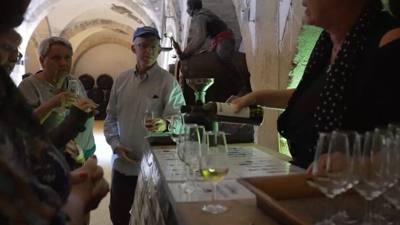 From Seville: Jerez, Cádiz and Andalusian Horses - A Practical Overview of the Tour