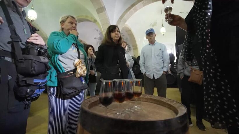 From Seville: Jerez, Cádiz and Andalusian Horses - What the Tour Includes and What You Should Consider
