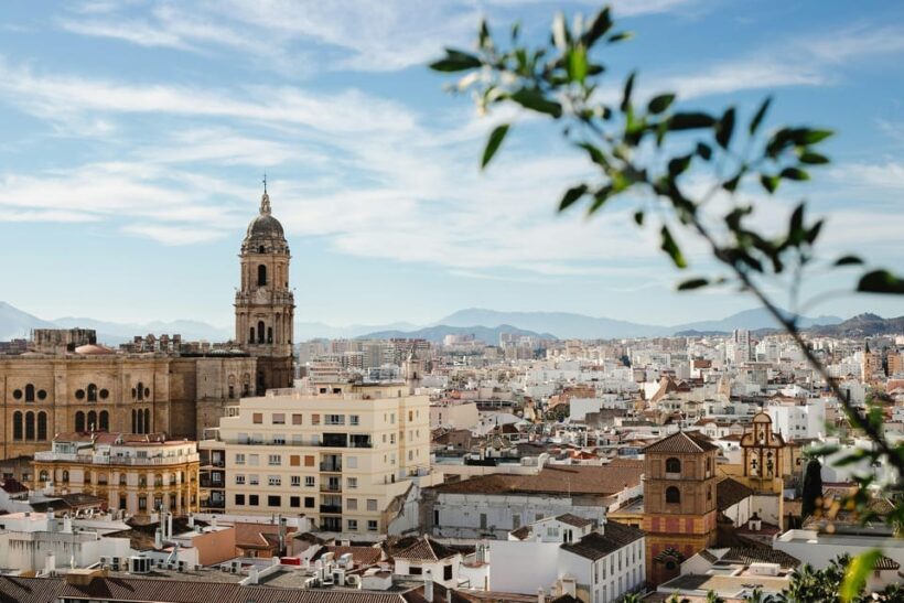From Seville: Malaga Private Day Trip with Guide - An In-Depth Review of the Malaga Private Day Trip from Seville