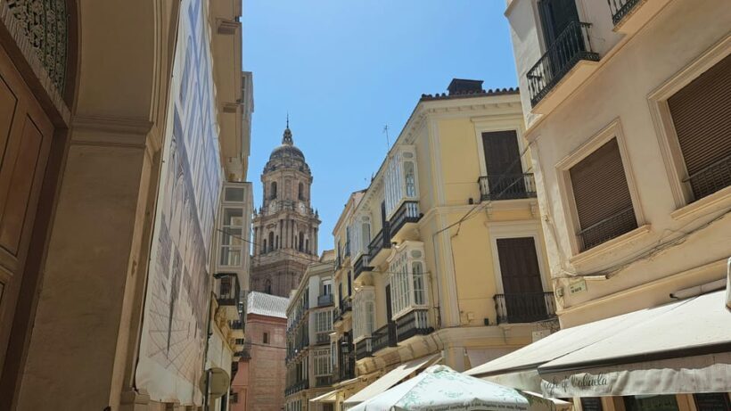 From Seville: Malaga Private Day Trip with Guide - Who Should Consider This Tour?