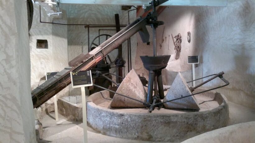 From Seville: Olive Oil Farm Tour - Discovering the Olive Oil Farm Tour from Seville