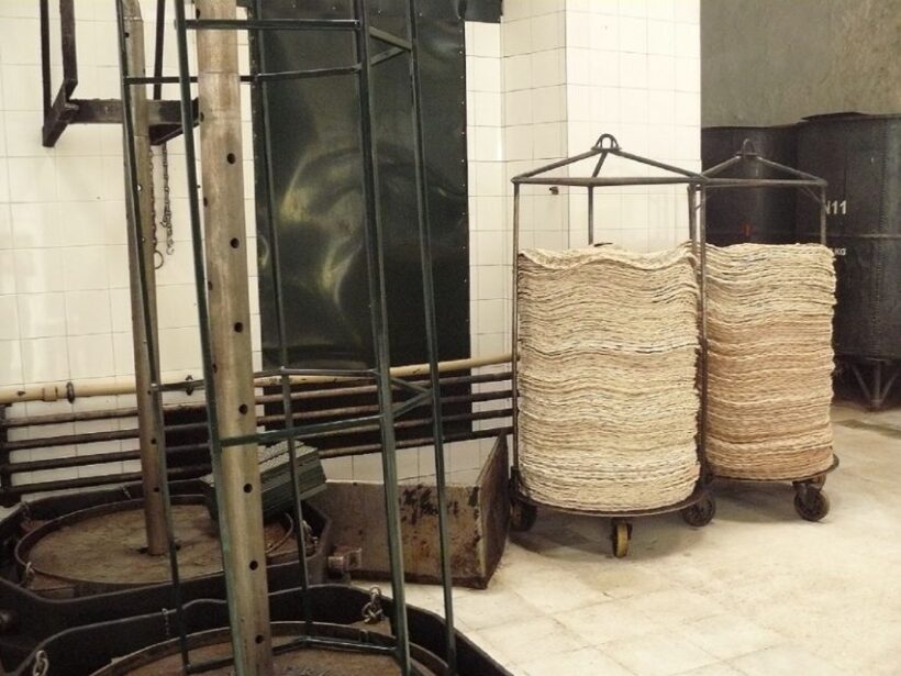 From Seville: Olive Oil Farm Tour - Who Will Love This Tour?