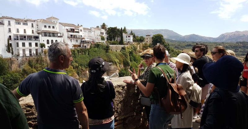 From Seville: Private Day Trip to Ronda and Córdoba - Who Will Love This Tour?