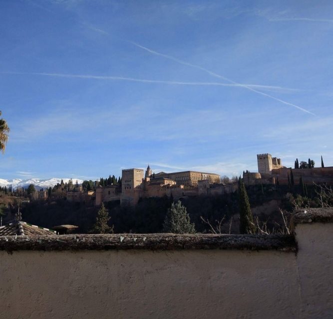 From Seville: Private Day Trip to Ronda and Granada - Final Thoughts: Who Should Consider This Tour?