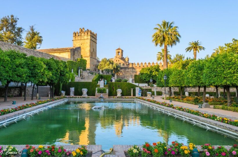 From Seville: Private or Group Full-Day Cordoba Tour - Who Should Consider This Tour?