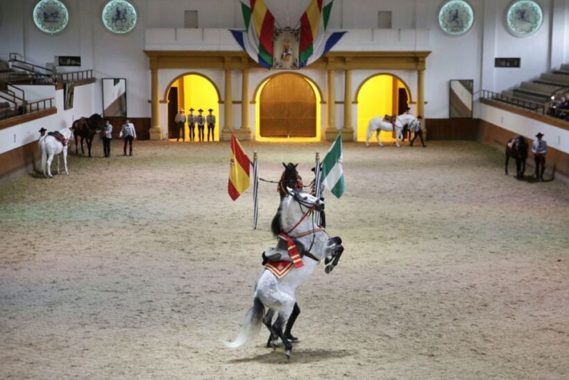 From Seville: Tour of Jerez with Horse Show & Wine Tasting - Key Points