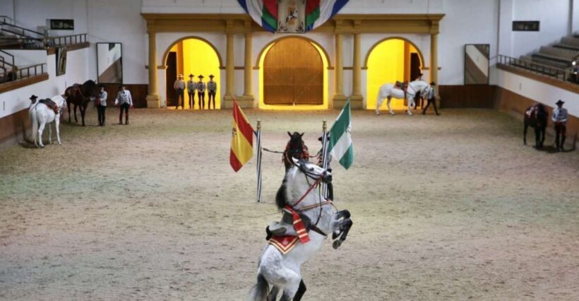 From Seville: Tour of Jerez with Horse Show & Wine Tasting - The Itinerary in Detail: What to Expect