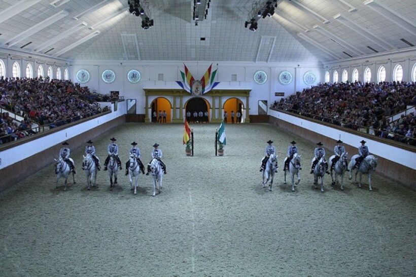 From Seville: Tour of Jerez with Horse Show & Wine Tasting - Authentic Experiences That Stand Out