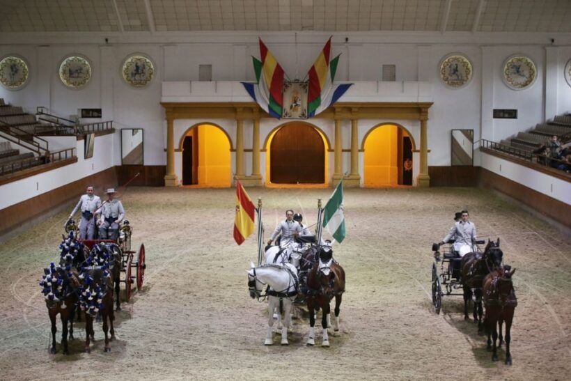 From Seville: Tour of Jerez with Horse Show & Wine Tasting - Practical Tips for Travelers
