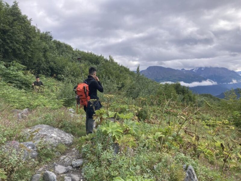 From Seward: 2-hour Wilderness Hiking Tour - Frequently Asked Questions
