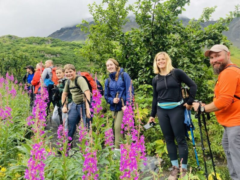 From Seward: 4-hour Wilderness Hiking Tour - Why This Tour Stands Out