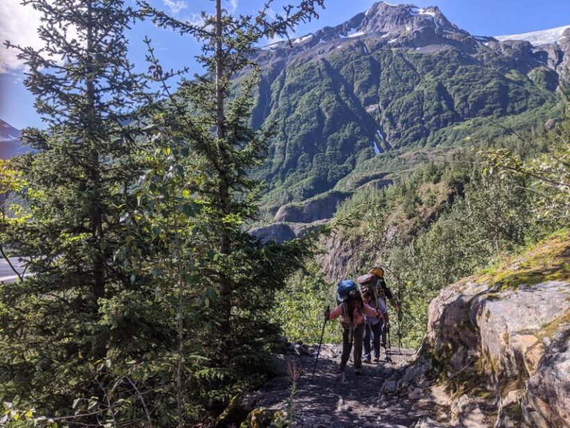 From Seward: 6-hour Wilderness Hiking Tour - An In-Depth Look at the Seward Wilderness Hiking Tour