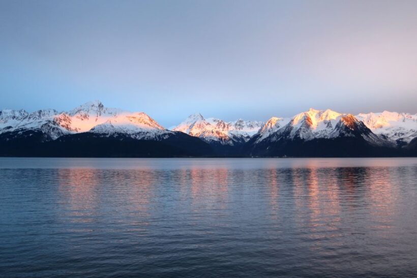 From Seward: Half-Day Resurrection Bay Wildlife Cruise Tour - Key Points