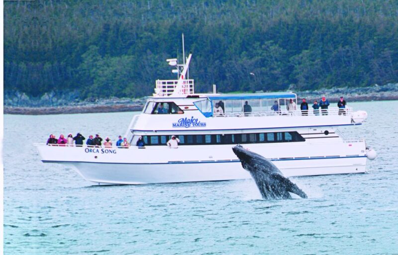 From Seward: Half-Day Resurrection Bay Wildlife Cruise Tour - Who Will Love This Tour?
