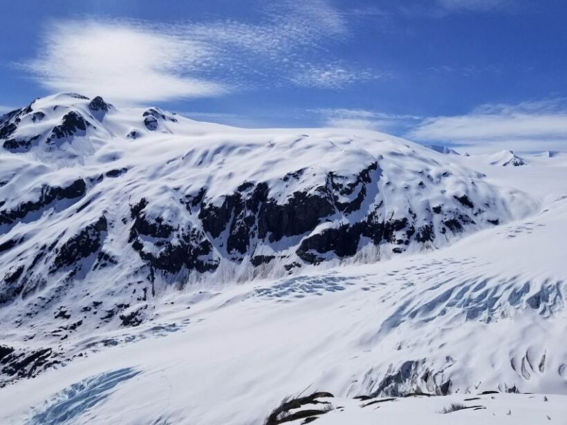 From Seward: Harding Icefield Trail Hiking Tour - The Sum Up