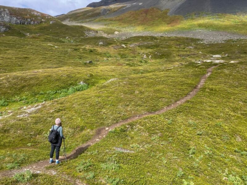 From Seward: Harding Icefield Trail Hiking Tour - Who Is This Tour Best For?