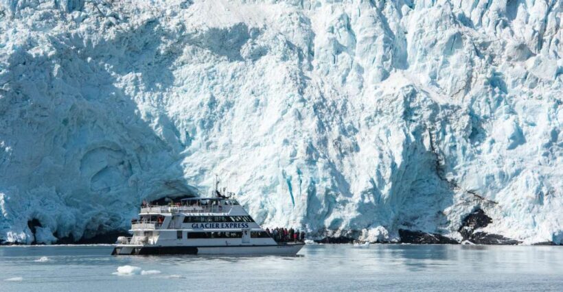 From Seward: Kenai Fjords National Park Cruise with Lunch - Key Points
