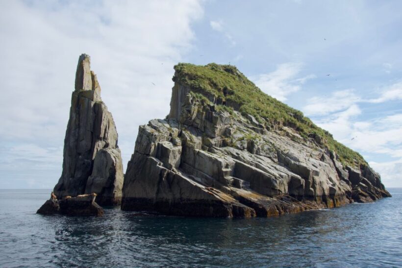 From Seward: Kenai Fjords National Park Cruise with Lunch - Who Will Love This Tour?
