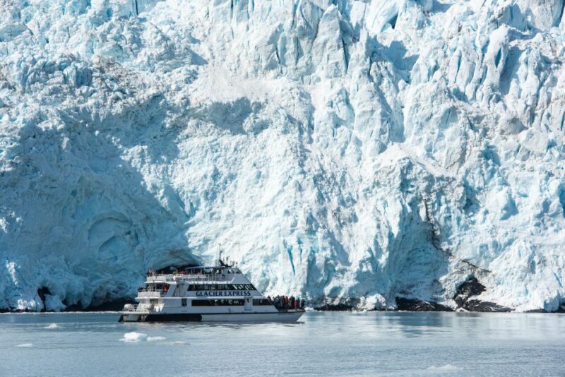 From Seward: Kenai Fjords National Park Cruise with Lunch - What Past Travelers Say