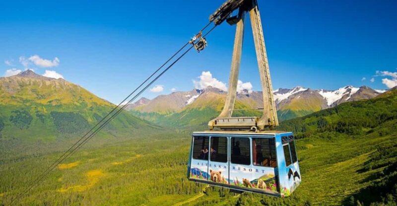 From Seward or Whittier: Guided Craft Tour and Ship Transfer - Who Will Love This Tour?