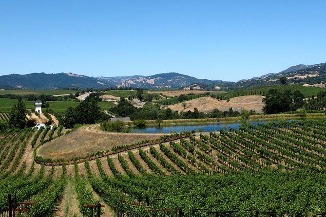 From SF : -8hr- Private Wine Tour & Custom Concierge.XL SUV - An In-Depth Look at the Napa & Sonoma Private Wine Tour