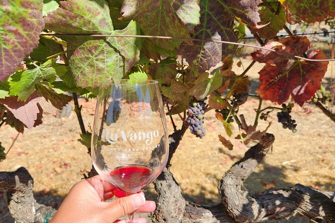 From SF: Napa and Sonoma Valley Wine Experience with 3 Wineries - The Sum Up