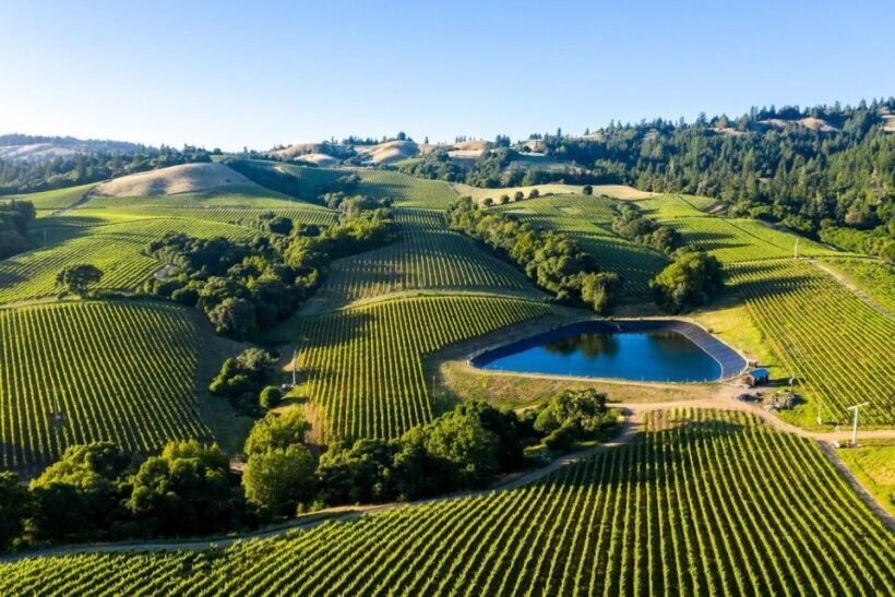 From SFO - Enchanted Napa & Sonoma Wine Tour in SUV - Is It Worth It?