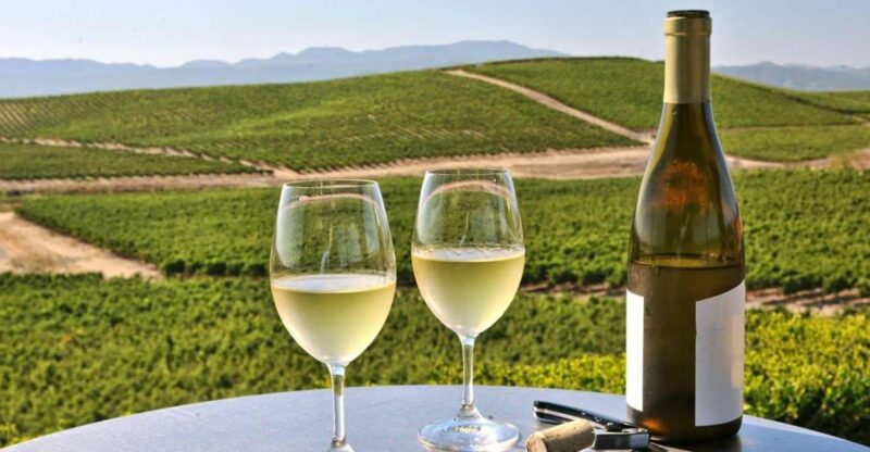 From SFO - Enchanted Napa & Sonoma Wine Tour in SUV - What Makes This Tour Stand Out?