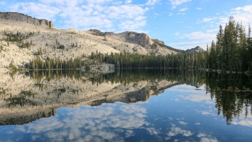 From SFO-Yosemite National Park-Enchanting Full Day Tour - Summary: The Value of This Yosemite Day Trip