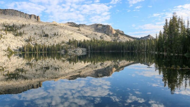 From SFO-Yosemite National Park-Enchanting Full Day Tour - What Makes This Tour Stand Out?
