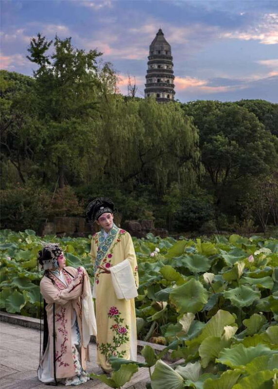 From Shanghai: 8-Day Private Tour to Hangzhou, Wuzhen, and - Journey to Hangzhou: The City of West Lake