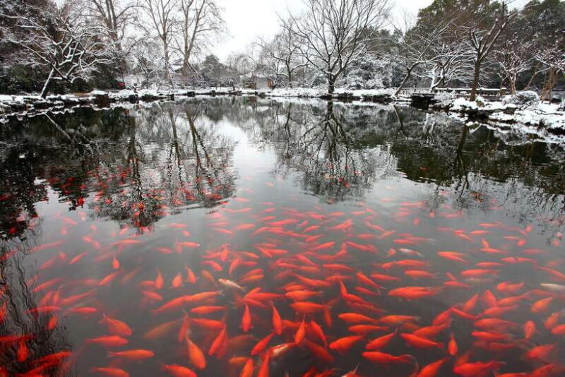 From Shanghai: Hangzhou Private Day Trip by Bullet Train - FAQs