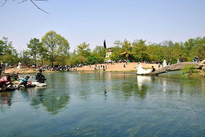 From Shanghai: Private Trip of Hangzhou in One Day - Key Points