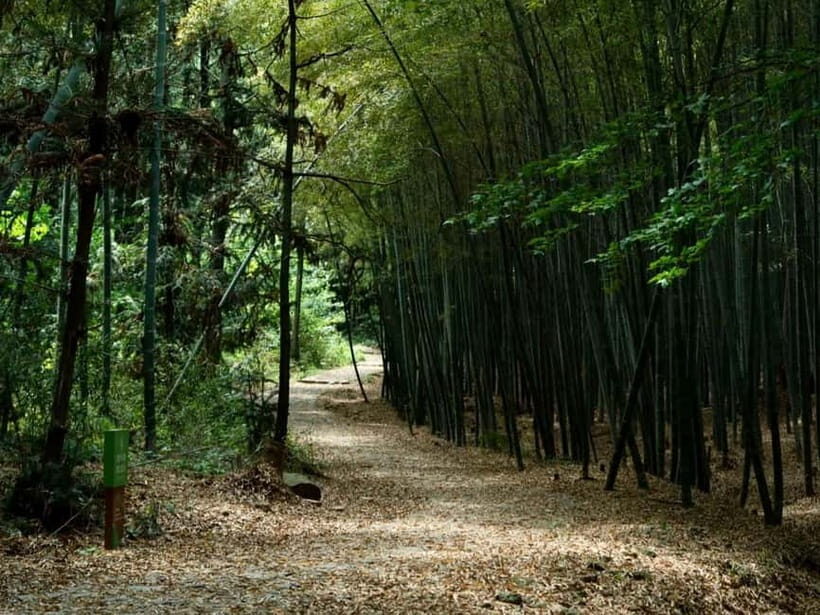 From Shanghai: Xiaoshao Ancient Road Journey - Starting from Shanghai: A Comfortable Ride into Zhejiang