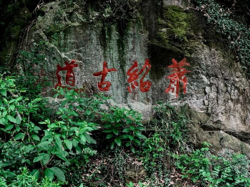 From Shanghai: Xiaoshao Ancient Road Journey - Savoring "King Yue Zen Tea" Beneath a Thousand-Year-Old Ginkgo