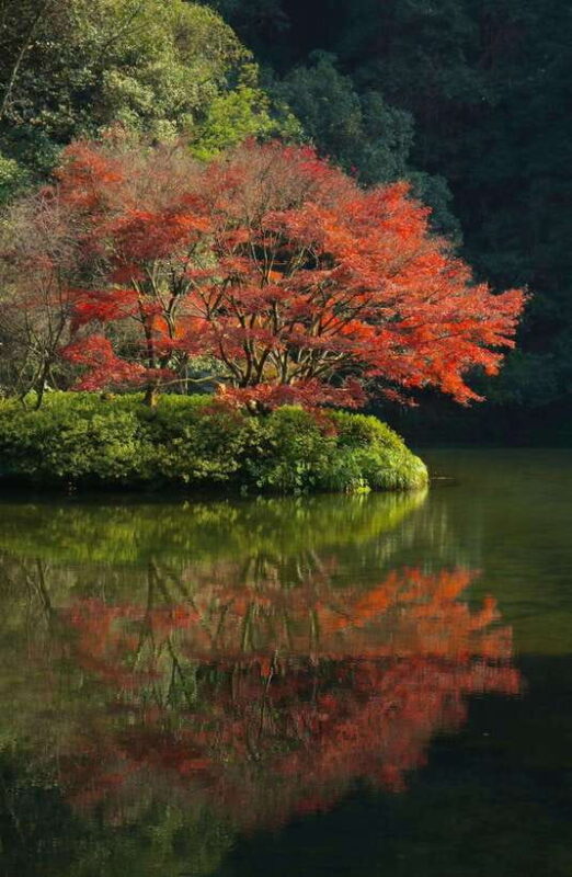 From Shanghai:Hangzhou Temple Zen and Longjing Tea ceremony - Key Points