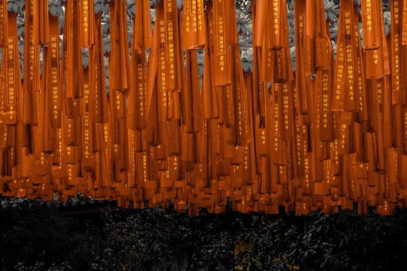 From Shanghai:Hangzhou Temple Zen and Longjing Tea ceremony - Analyzing the Value