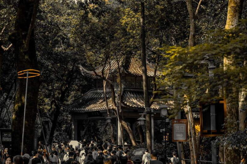 From Shanghai:Hangzhou Temple Zen and Longjing Tea ceremony - FAQs