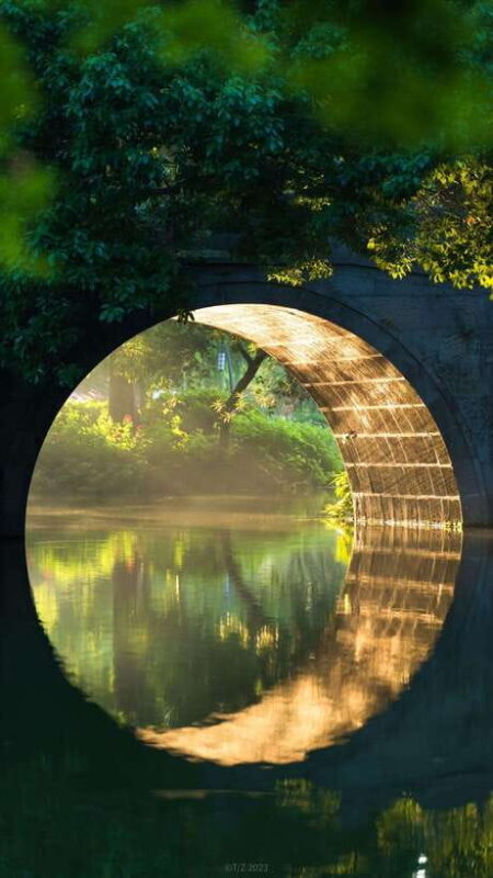 From Shanghai:Hangzhou Temples, Lake Views &Night Market Fun - Key Points