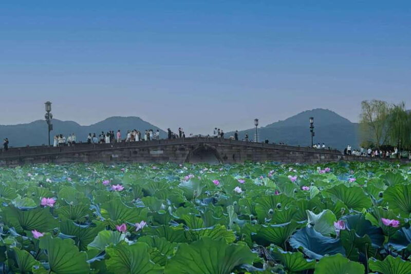 From Shanghai:Hangzhou Temples, Lake Views &Night Market Fun - FAQs