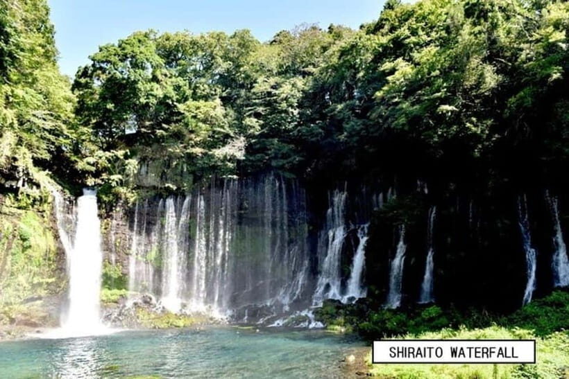 From Shinfuji: Fuji Nature Tour with Guide and Vehicle - Key Points
