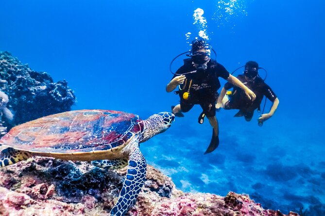 From Side, Alanya: Scuba Diving With 2 Time Dive & Lunch - Authentic Insights from Travelers