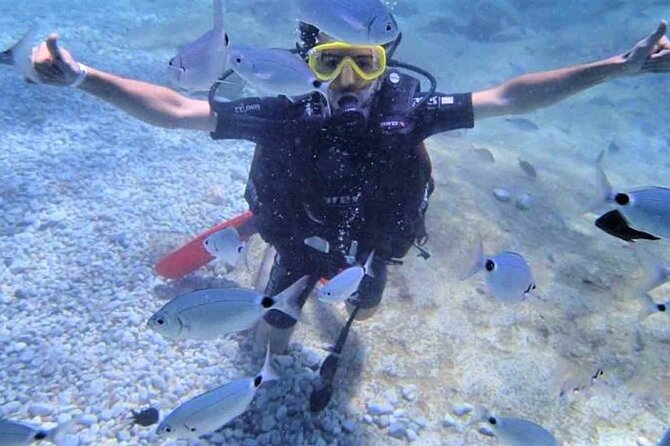 From Side, Alanya: Scuba Diving With 2 Time Dive & Lunch - Final Thoughts