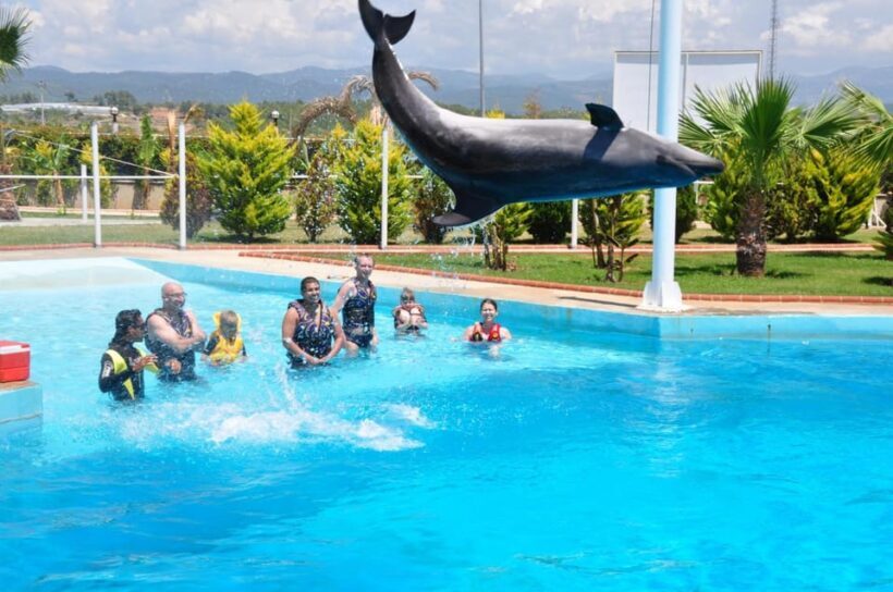 From Side Dolphin and Seal Show Ticket with Hotel Transfers - Practical Tips for Travelers