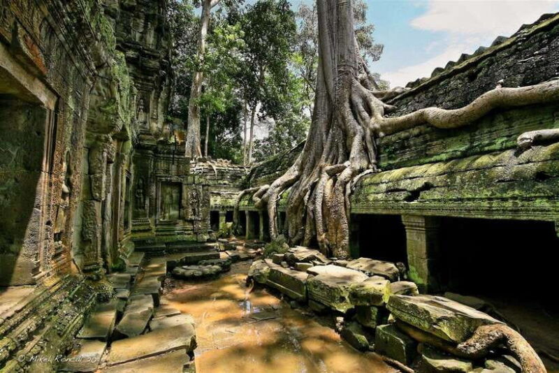 From Siem Reap: Angkor Wat Sunrise Small Group Tour - Practical Details and Comfort