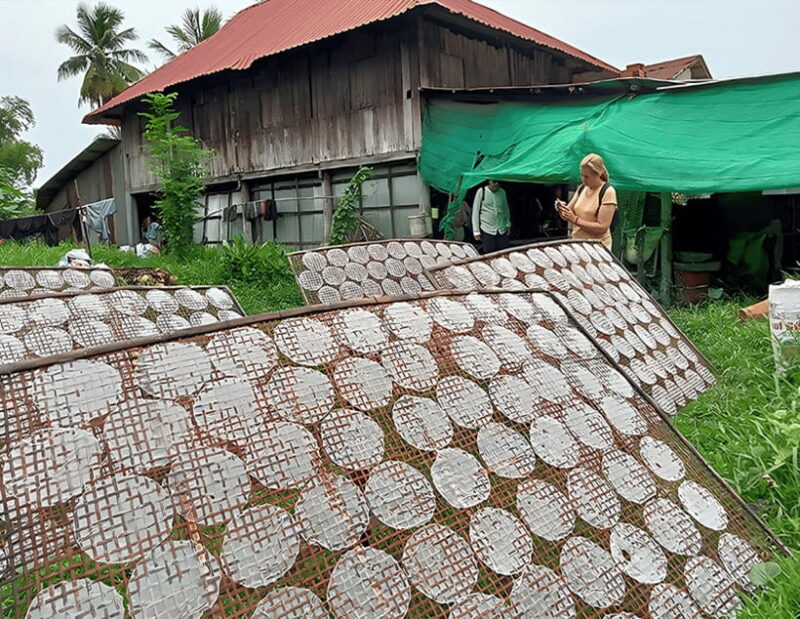 From Siem Reap: Battambang Full-Day Tour with Bamboo Train - Final Thoughts